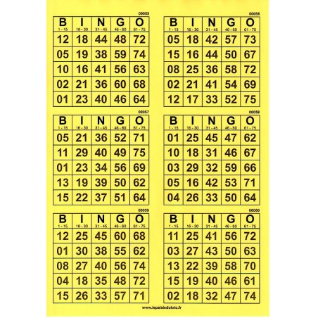 Le Bingo américain, le vrai Bingo américain au Palais du Loto.